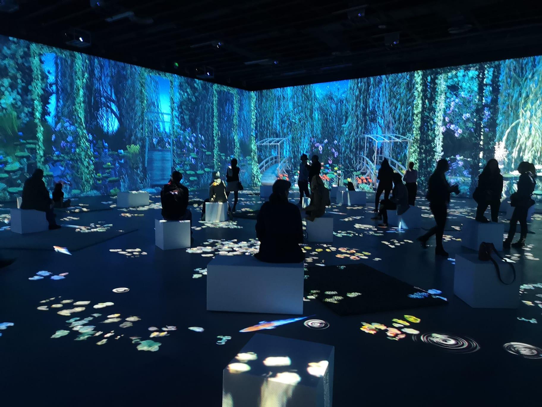 Claude Monet The Immersive Experience