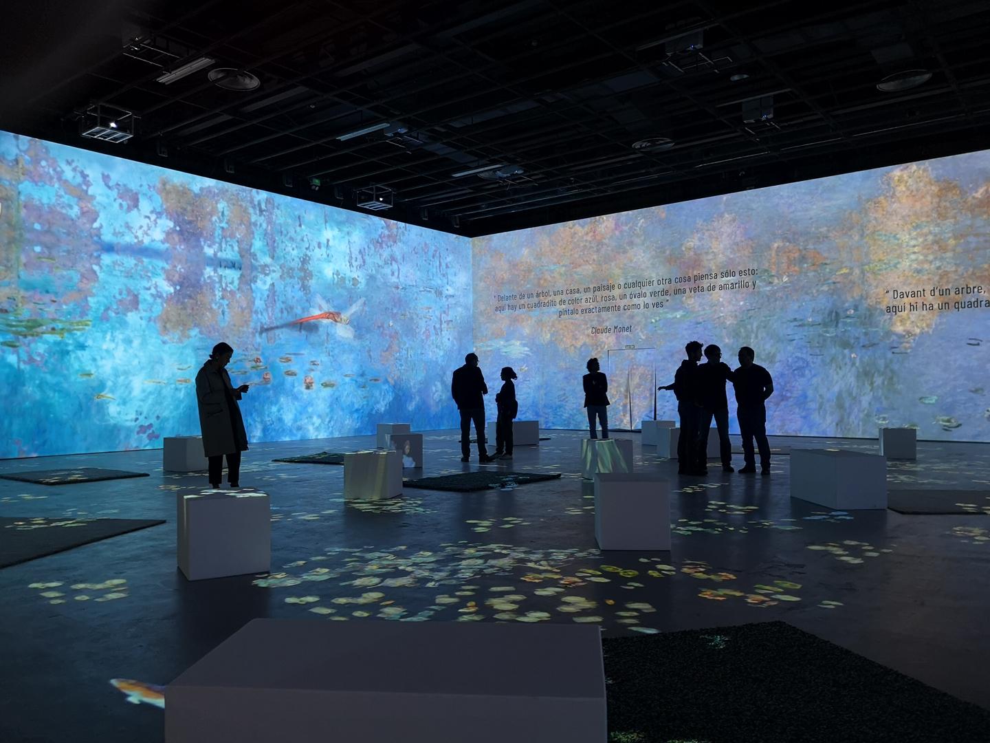 Claude Monet The Immersive Experience