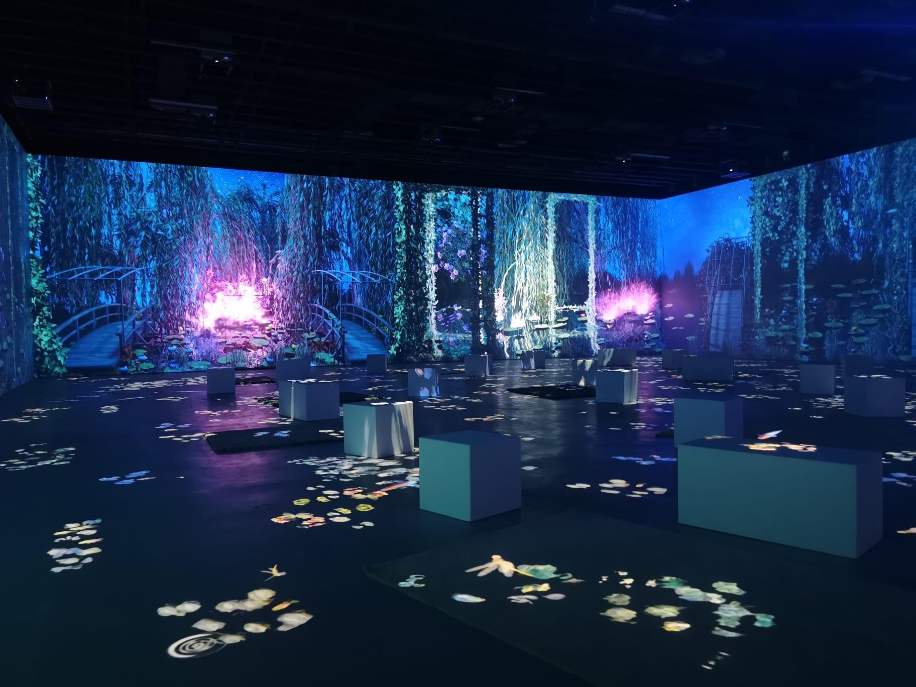 Claude Monet The Immersive Experience